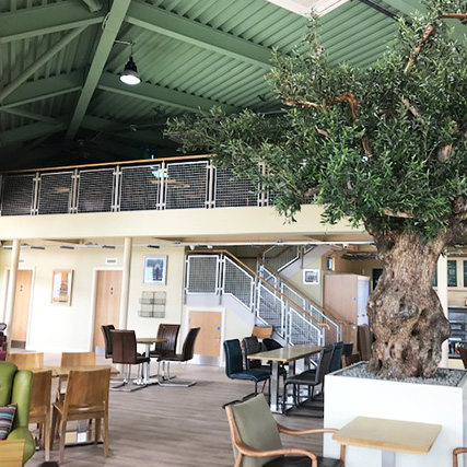 Everards Meadows - Jenno's Coffee House
